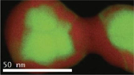 DigitalMicrograph Software | Gatan, Inc.